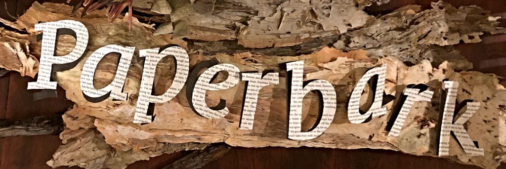 Wandi: the very true story of the baby dingo who fell from the sky by ...