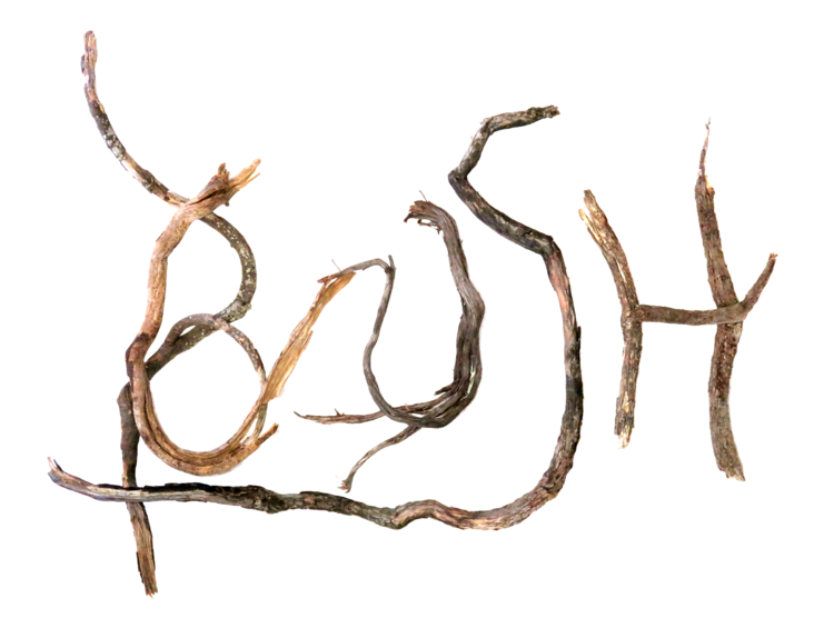 Bush Restaurant Redfern Sydney