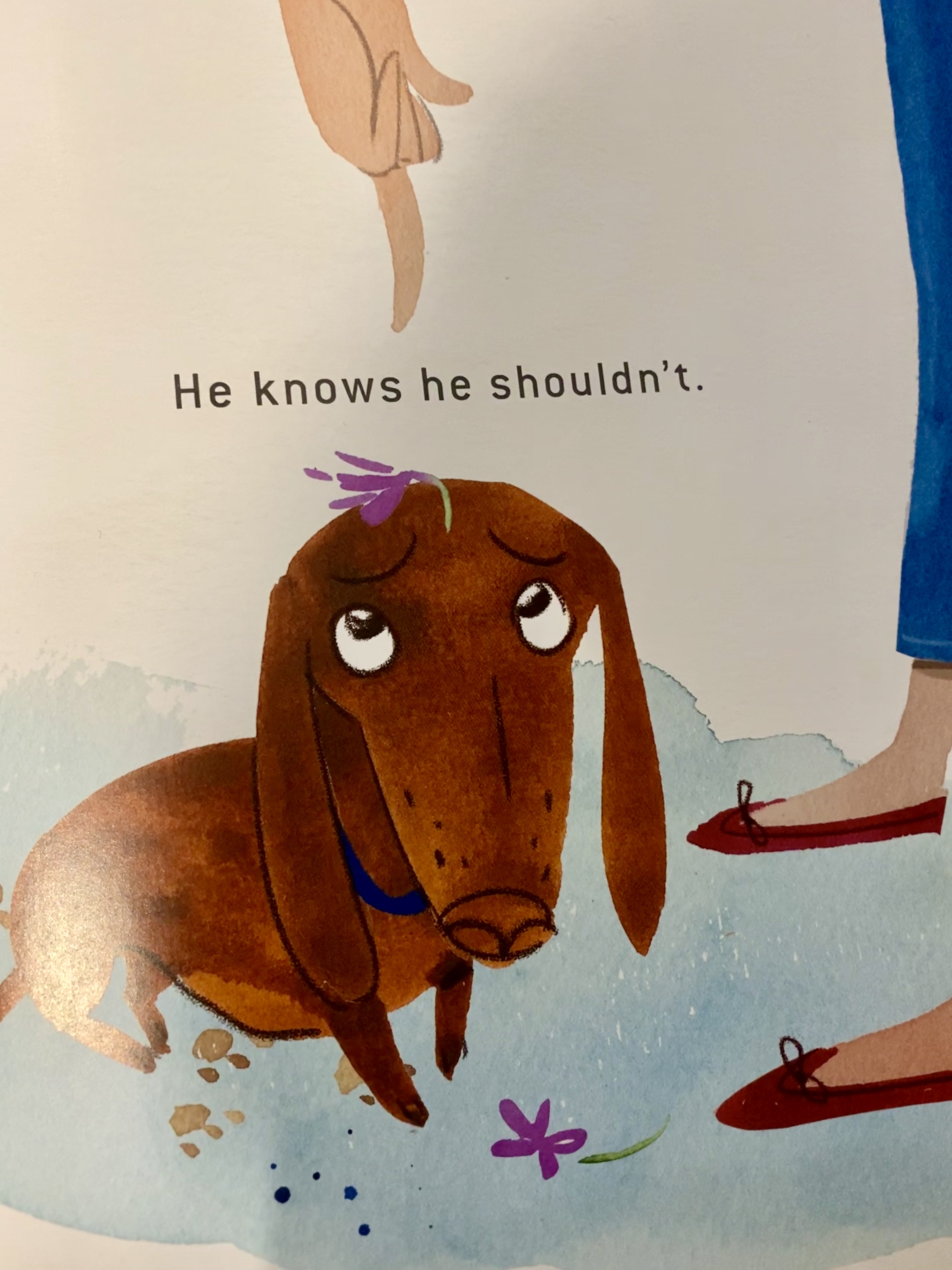 My Friend Fred by Frances Watts, illustrated by A. Yi