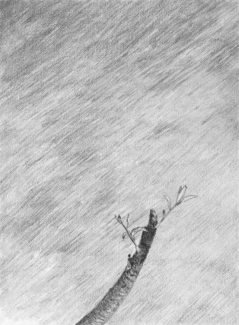 Bindi by Kirli Saunders & Dub Leffler