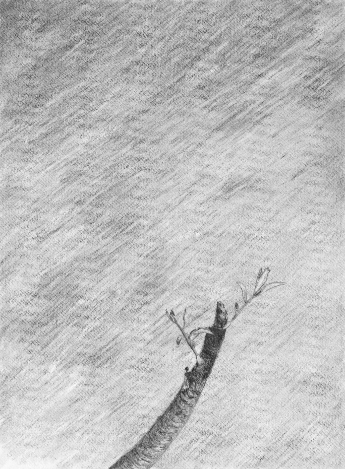 Bindi by Kirli Saunders & Dub Leffler