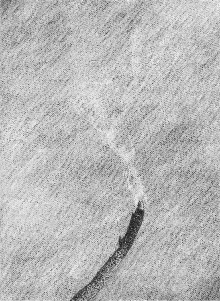 Bindi by Kirli Saunders & Dub Leffler