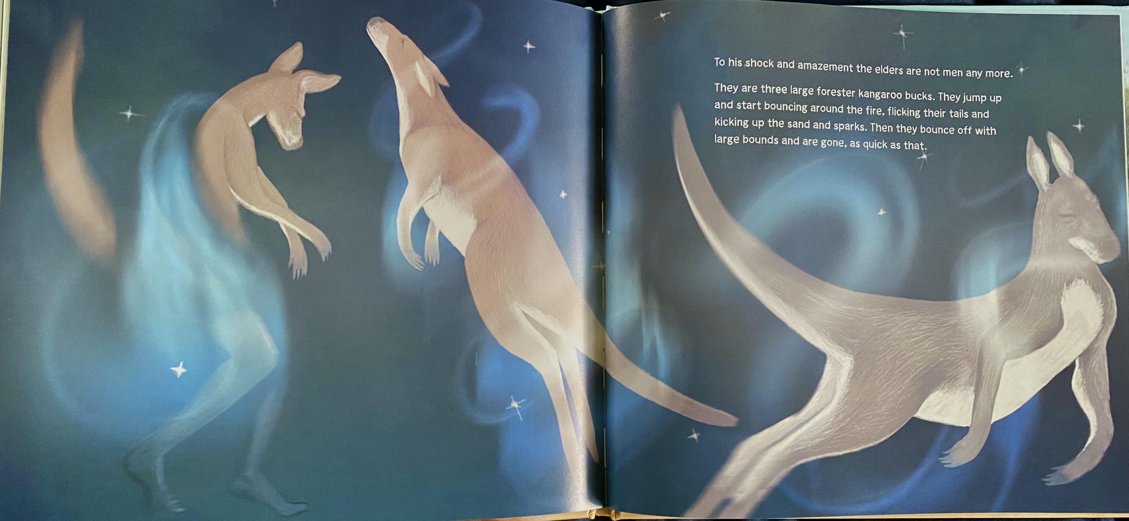 luwa tara luwa waypa: three kangaroos three Tasmanian men by Dave ...