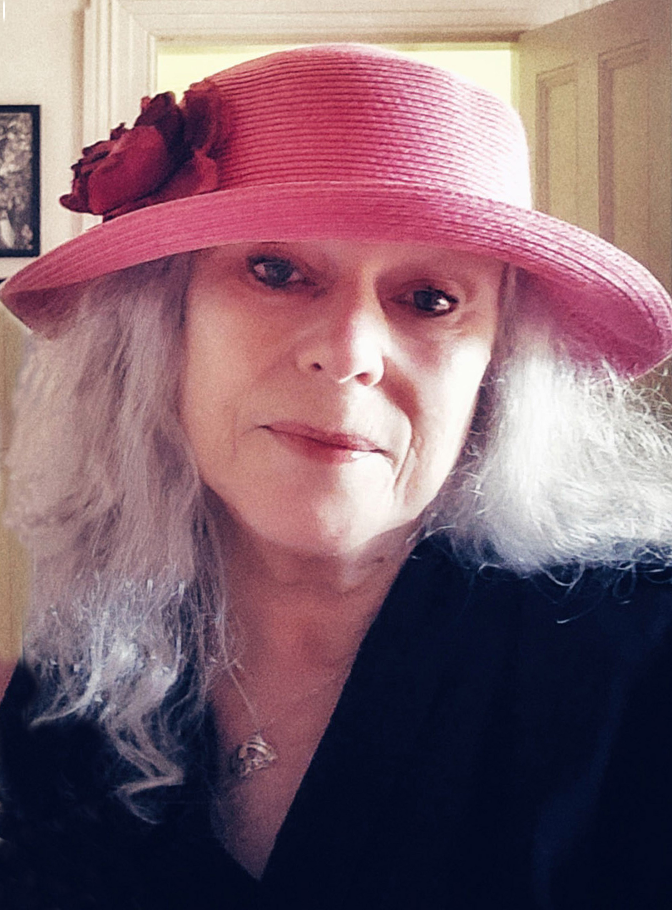 The Silver Moth by Carol Lefevre