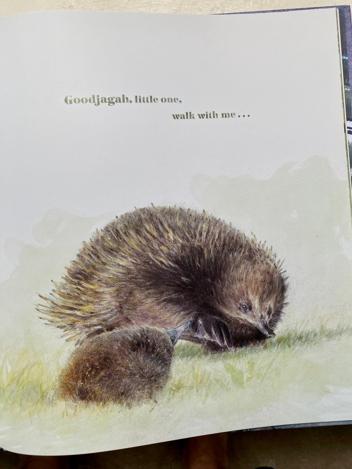 Our Dreaming by Kirli Saunders & Dub Leffler