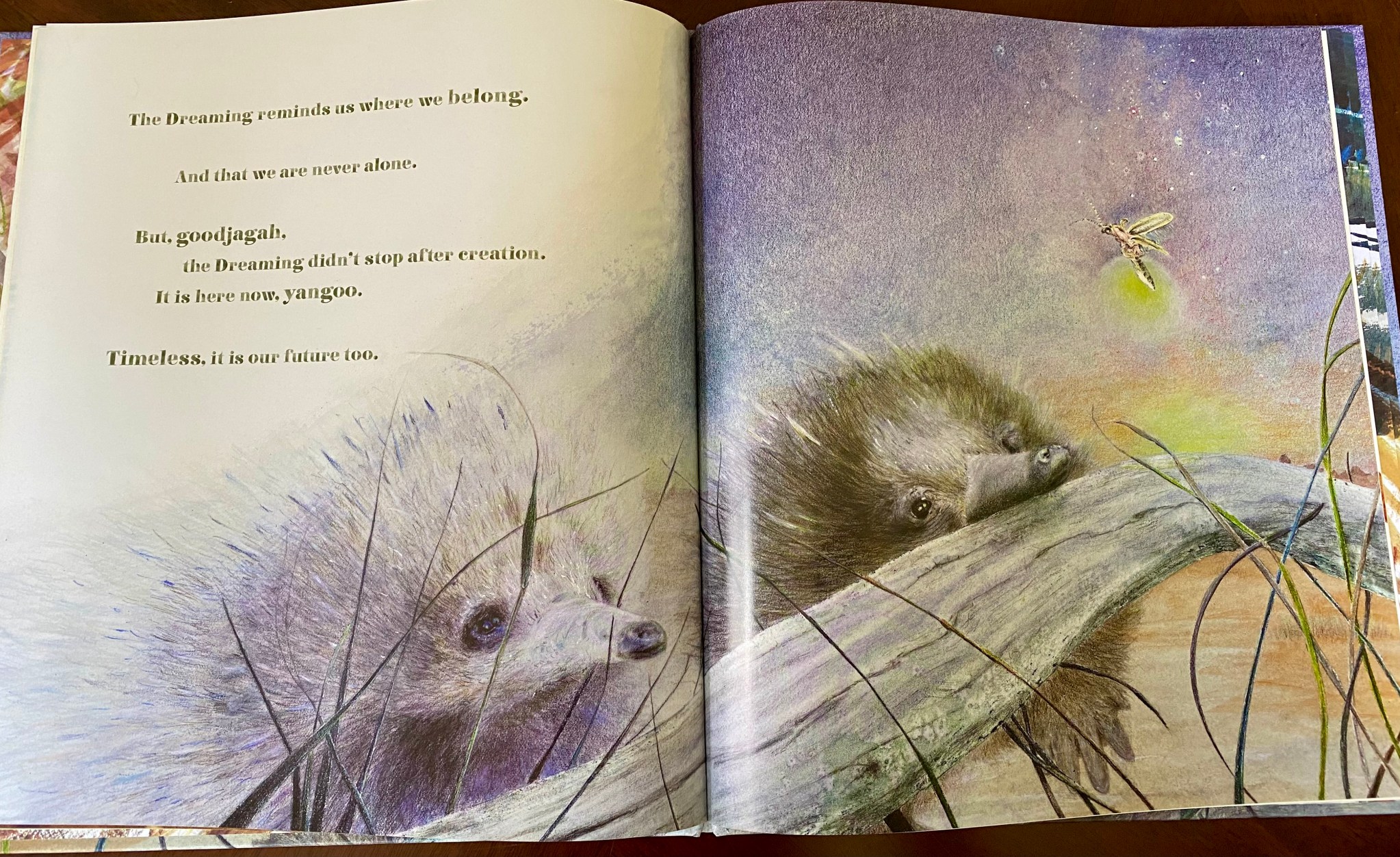 Our Dreaming by Kirli Saunders & Dub Leffler