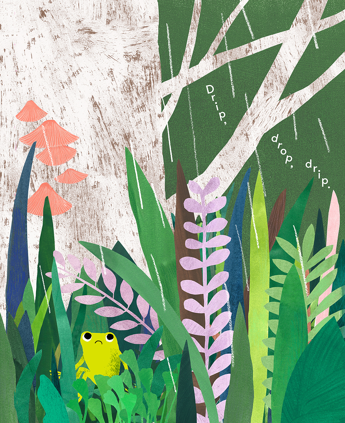 Snap! by Anna Walker