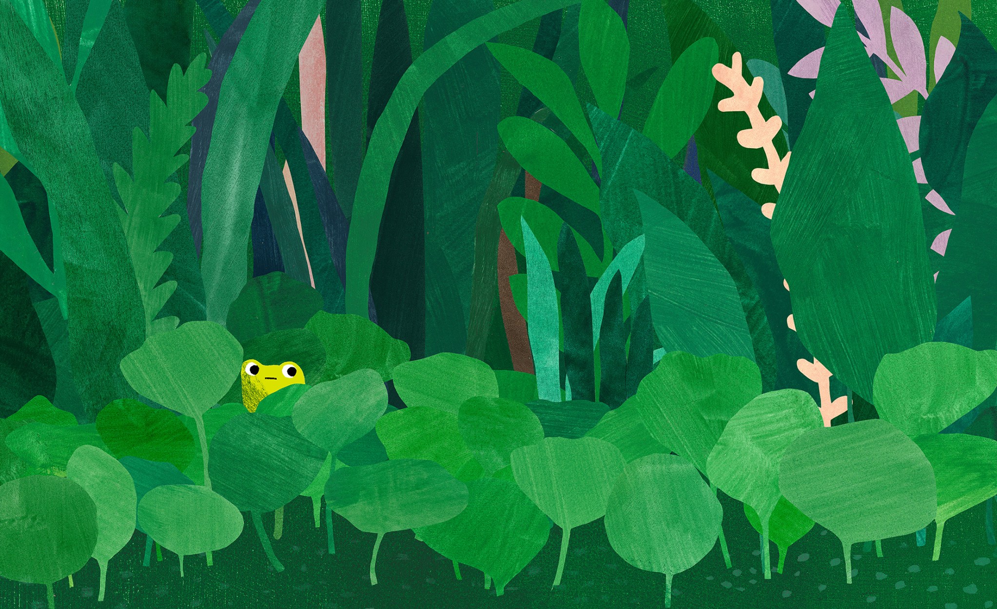 Snap! by Anna Walker