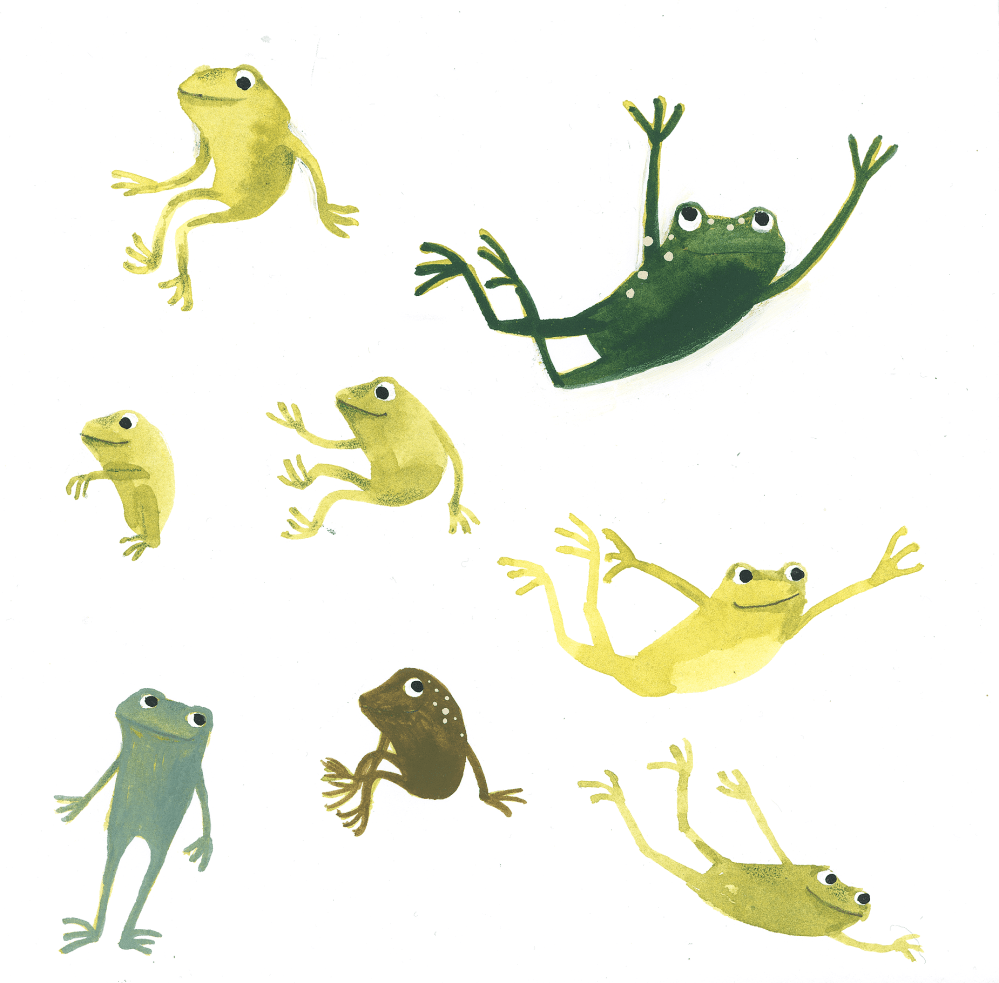 Snap! by Anna Walker