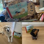 LIONEL AND ME by Corinne Fenton Illustrated by Tracie Grimwood