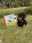 LIONEL AND ME by Corinne Fenton Illustrated by Tracie Grimwood