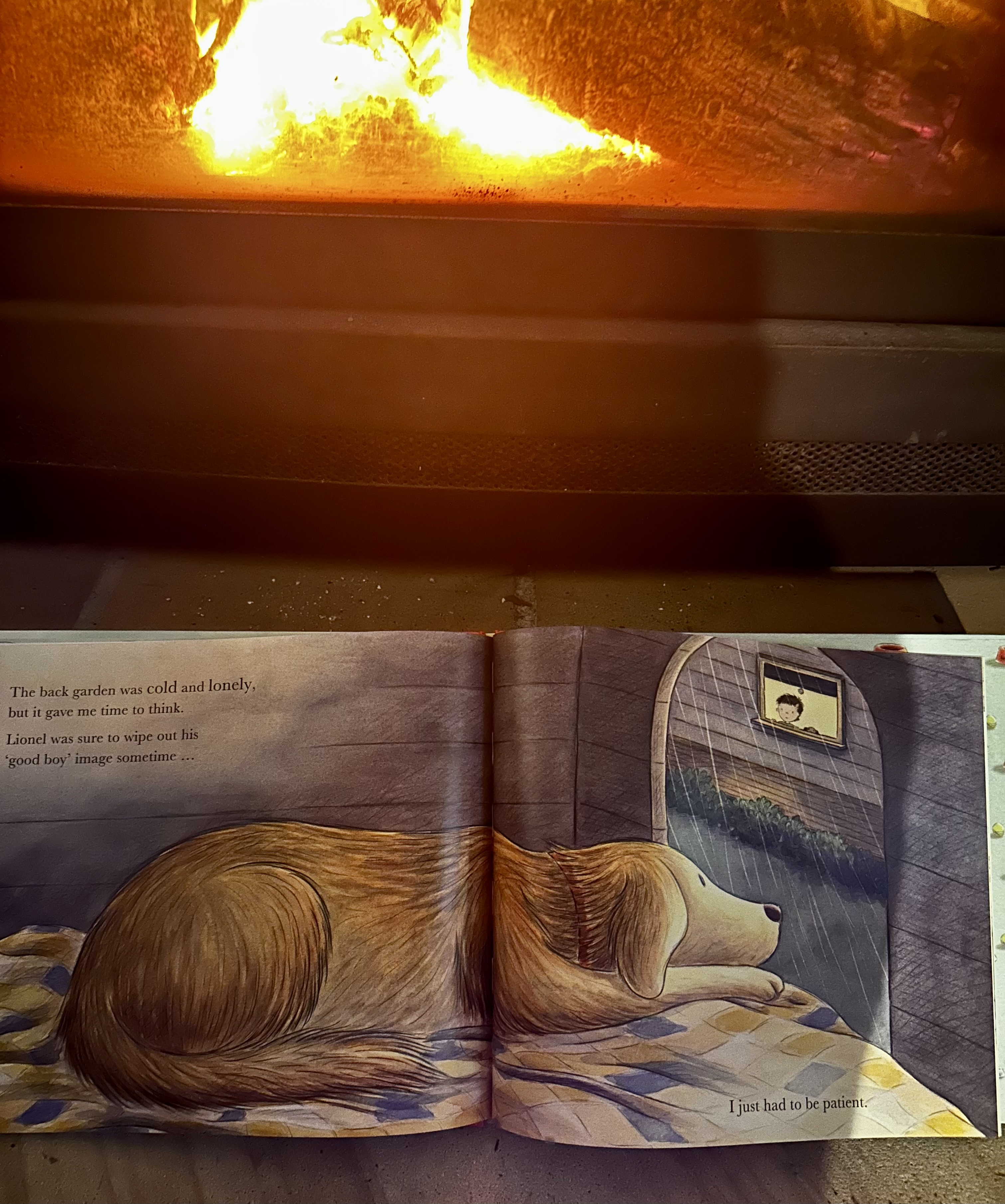 LIONEL AND ME by Corinne Fenton Illustrated by Tracie Grimwood