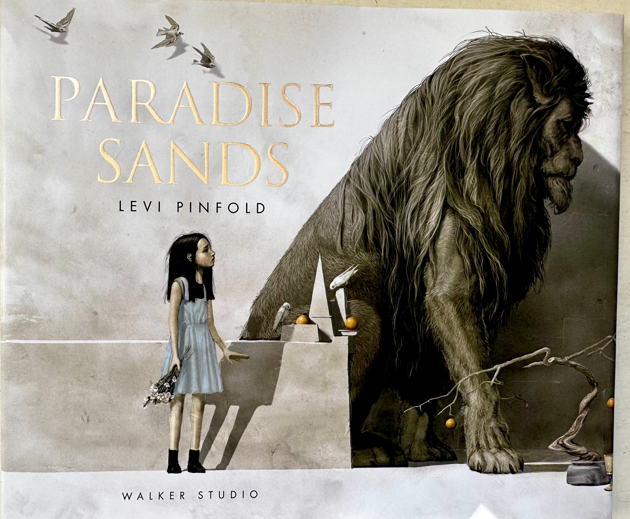 Paradise Sands: A Story of Enchantment by Levi Pinfold