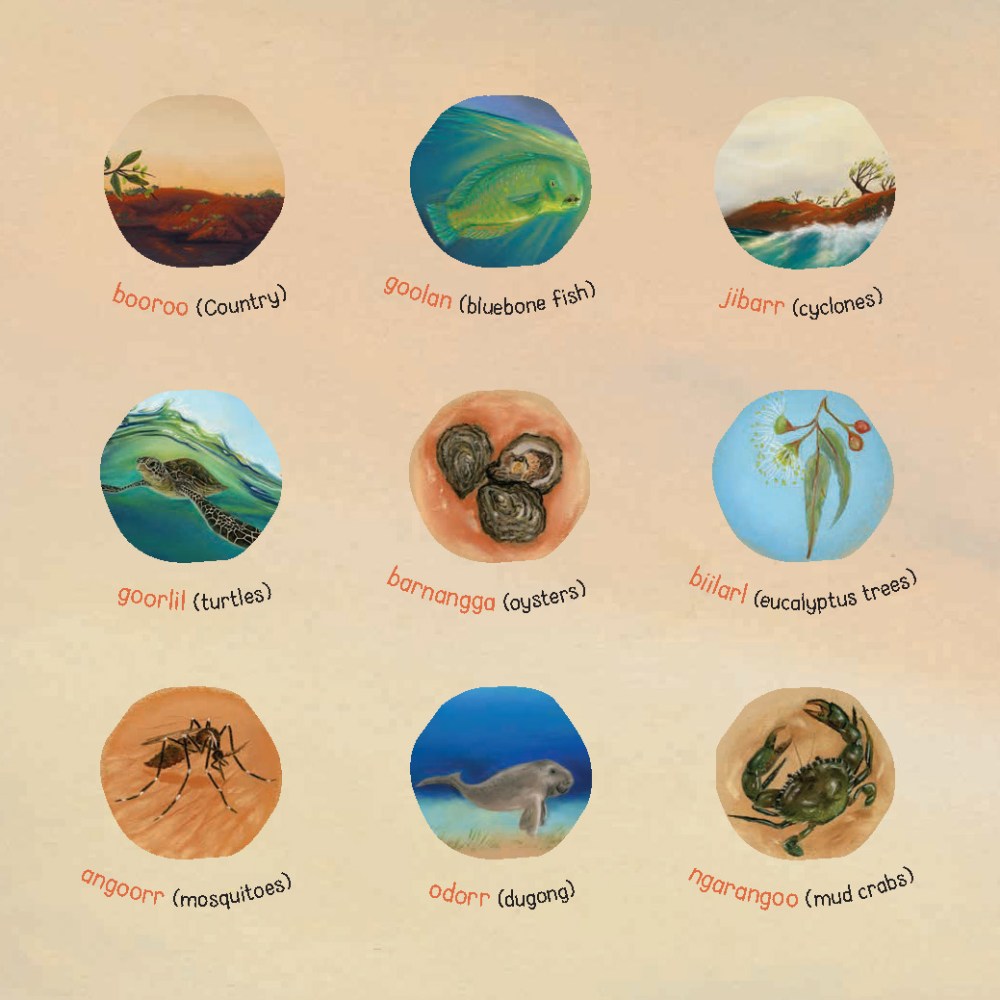 Ask Aunty: Seasons (An introduction to First Nations seasons)