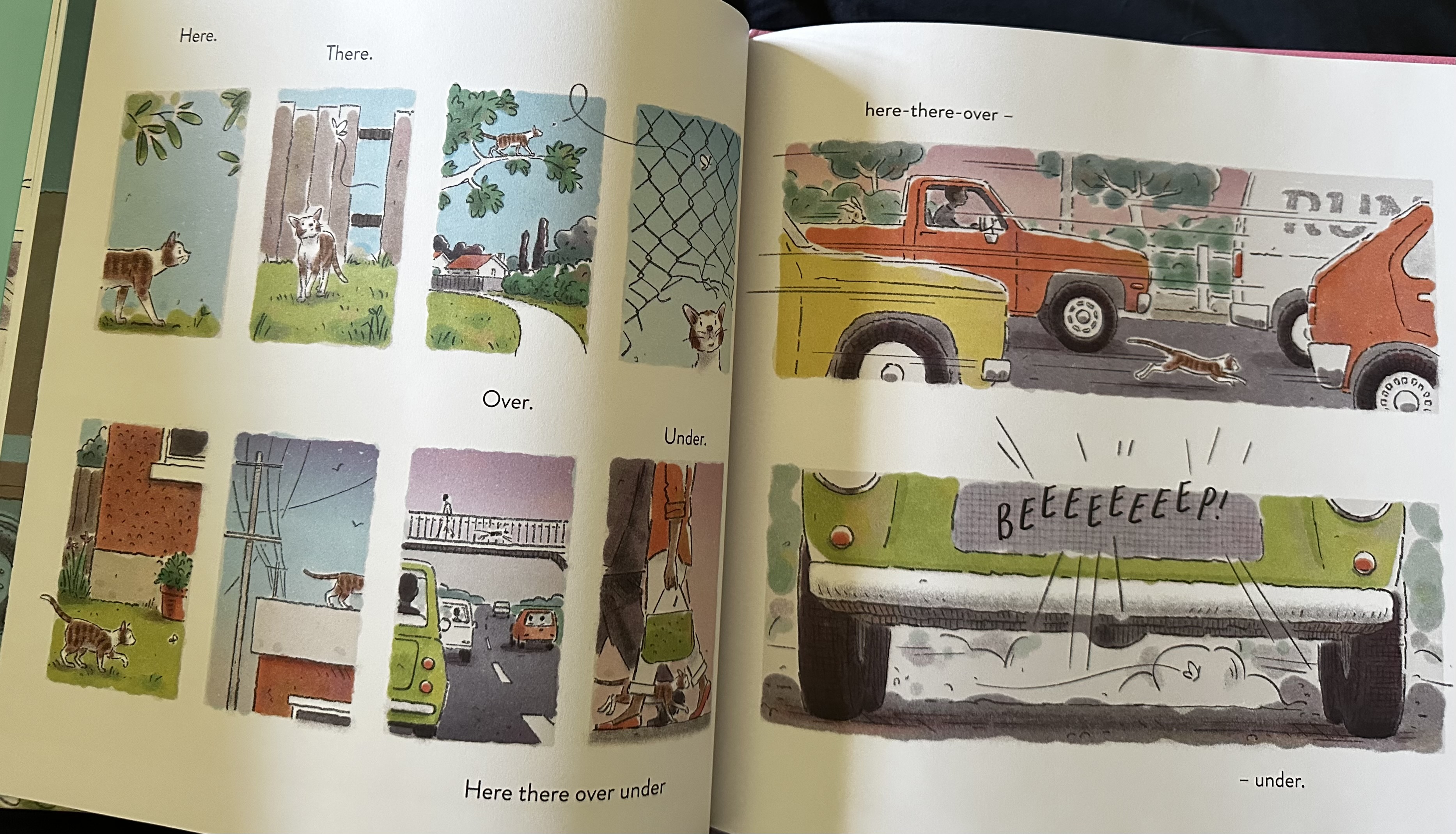 The Truck Cat by Deborah Frenkel, illustrated by Danny Snell