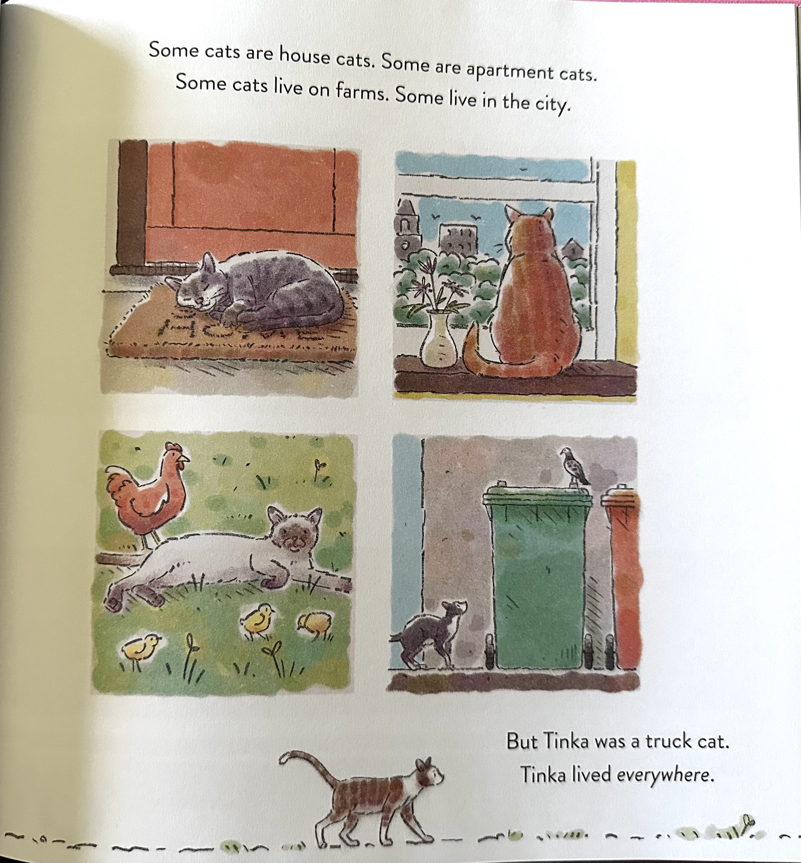 The Truck Cat by Deborah Frenkel, illustrated by Danny Snell