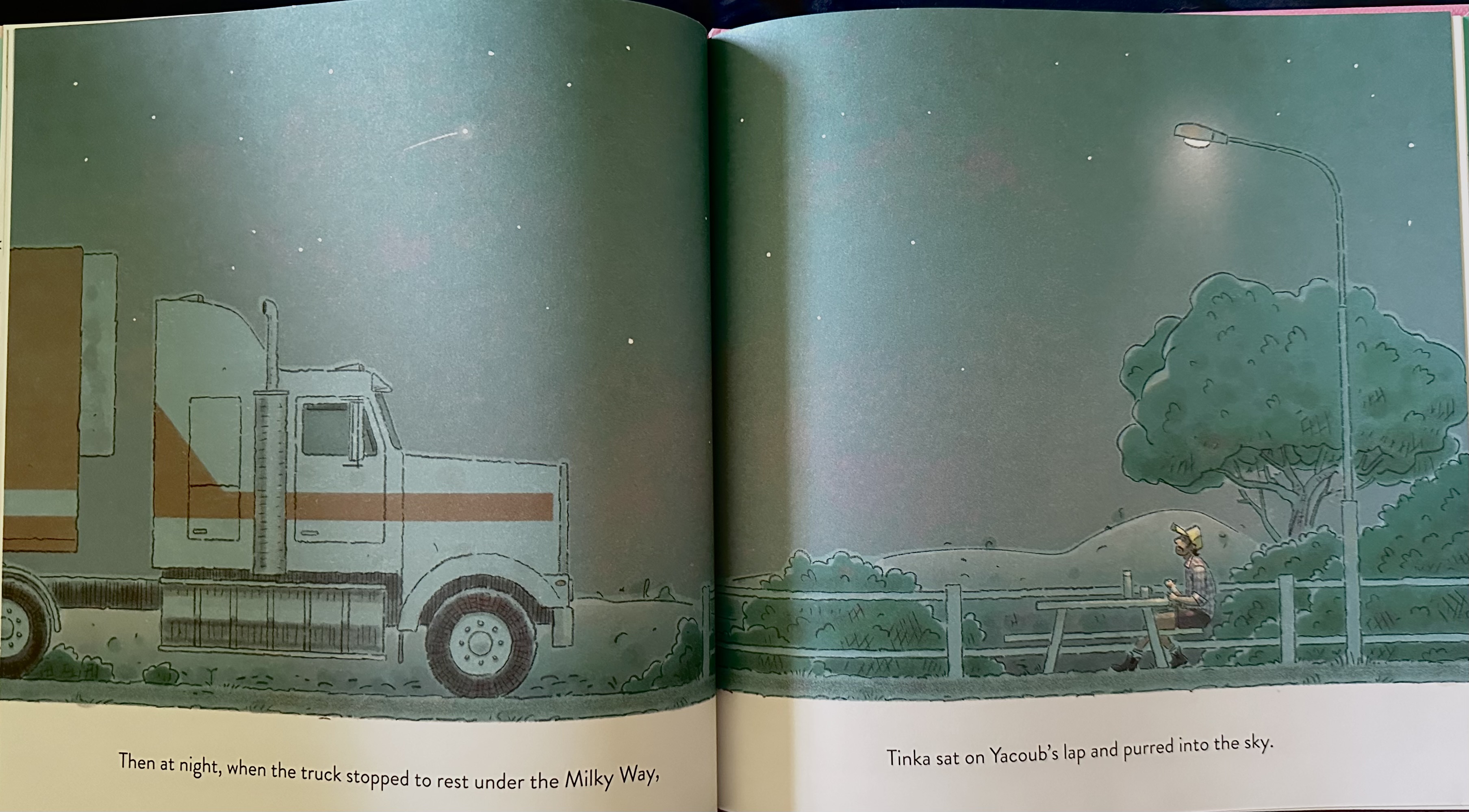 The Truck Cat by Deborah Frenkel, illustrated by Danny Snell