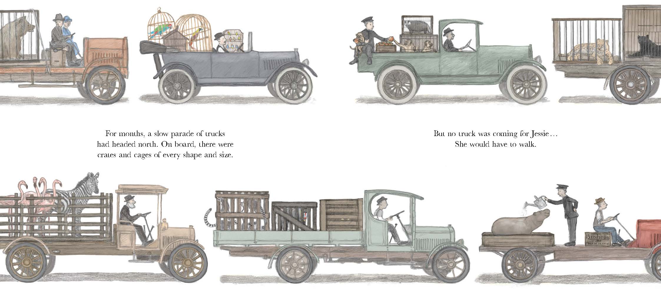 How to Move a Zoo by Kate Simpson, illustrated by Owen Swan