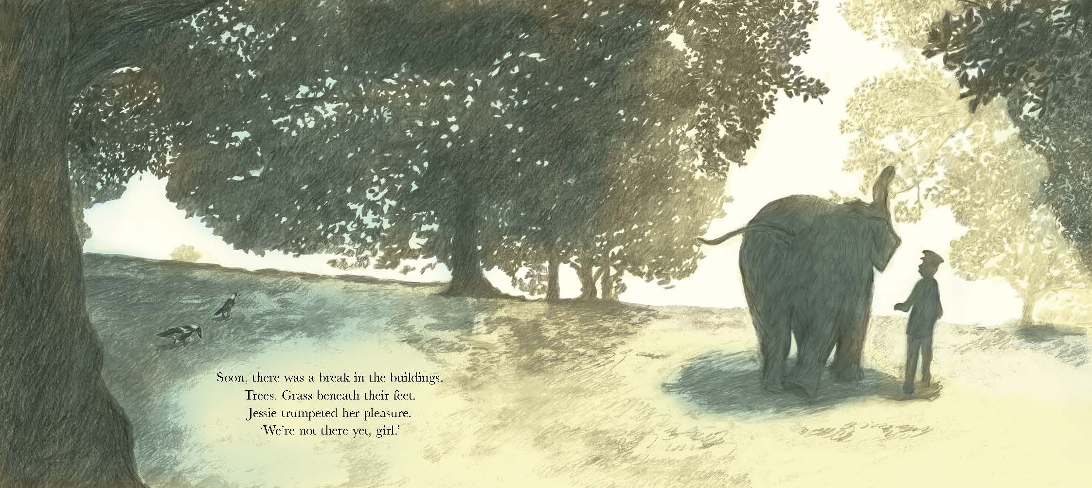 How to Move a Zoo by Kate Simpson, illustrated by Owen Swan