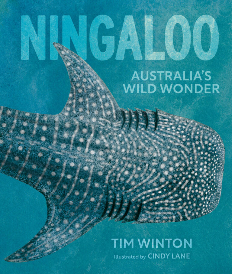 Inside the 2026 CBCA Notable Books
