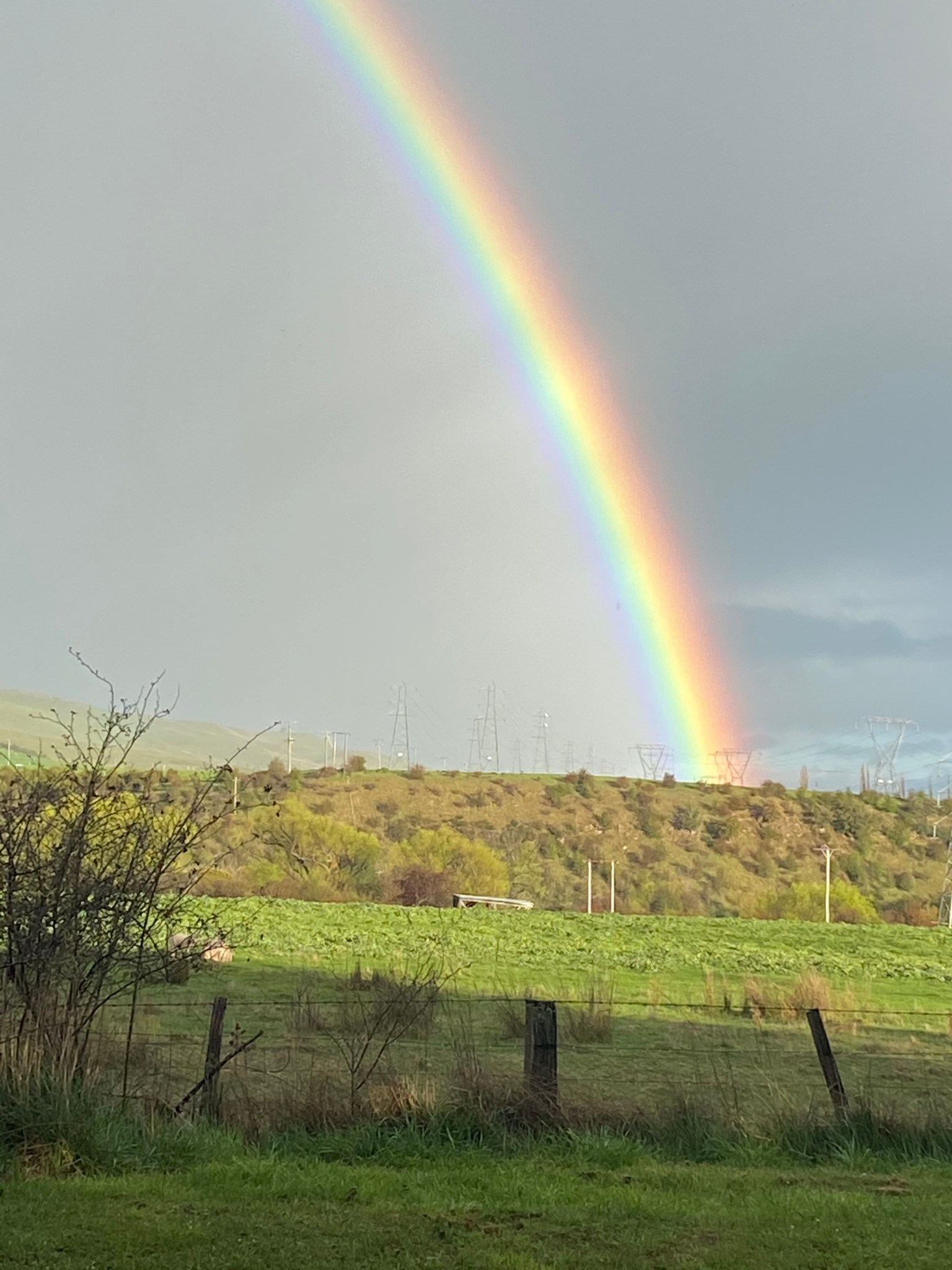 Why, Oh Why? The Story of Rainbows, by Roy G. Biv (Tim Hurburgh)